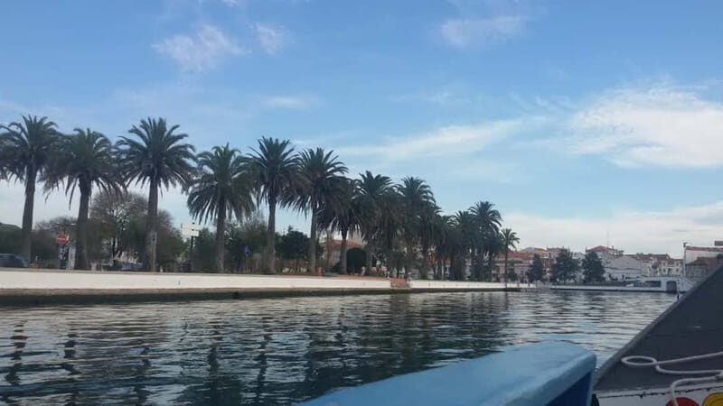 From Porto: Aveiro & Coimbra Tour with Moliceiro Boat Cruise - What Travelers Love and What Could Be Better