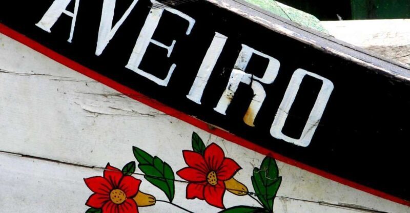 From Porto: Aveiro Half-Day Tour with 1-Hour Cruise - The Sum Up