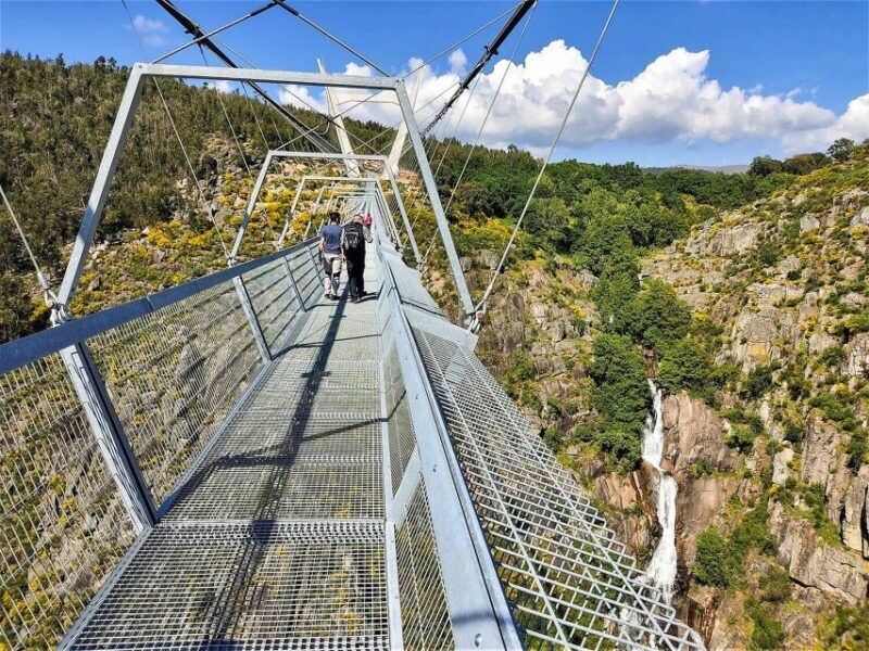 From Porto: Aveiro, Paiva Walkways, & Suspension Bridge Tour - Who Would Love This Tour?