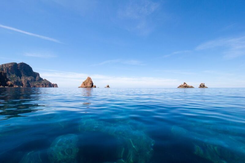 From Porto: Calanche de Piana Boat Tour - The Sum Up