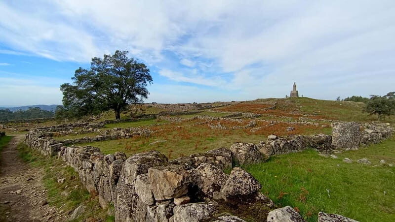 From Porto: Castros Celtic Ruins Private Day Tour - Why This Tour Offers Good Value