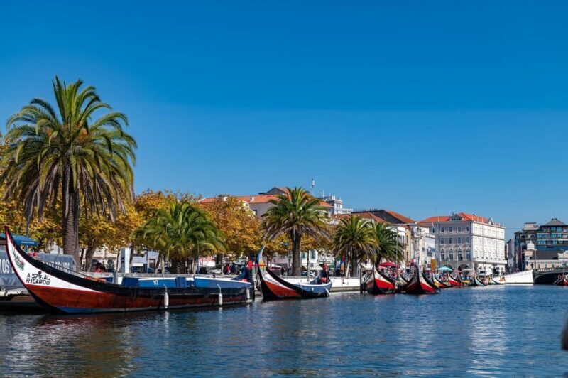 From Porto: Coimbra, Aveiro and Costa Nova Day Tour - Scenic Drive and Costa Nova Beach