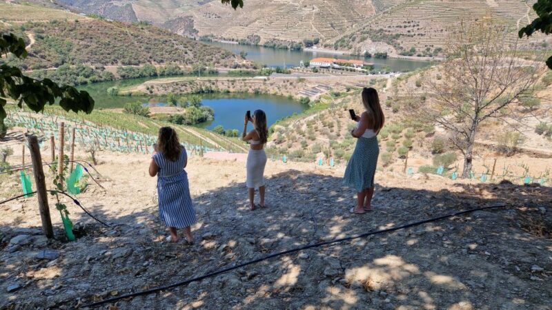 From Porto Day Douro Valley Wine Tour 2 Wineries & Lunch - Discovering the Douro: An Authentic Day Trip