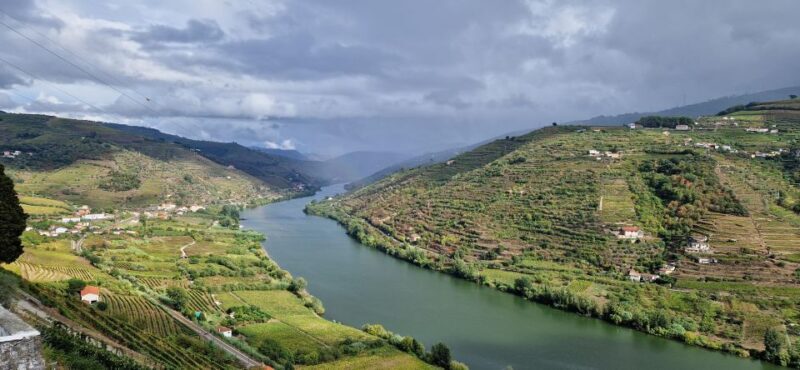 From Porto Day Douro Valley Wine Tour 2 Wineries & Lunch - Who Will Love This Tour?