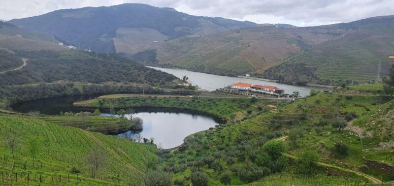 From Porto Day Douro Valley Wine Tour 2 Wineries & Lunch - Final Thoughts