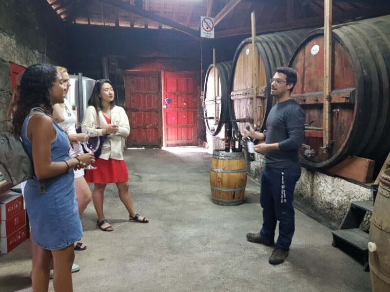 From Porto: Douro Valley 3 Vineyards Tour with Lunch - Introducing the Douro Valley 3 Vineyards Tour with Lunch