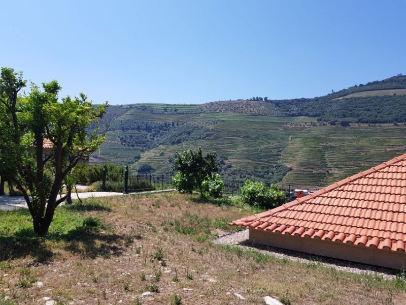 From Porto: Douro Valley 3 Vineyards Tour with Lunch - Final Thoughts: Who Will Enjoy This Tour?