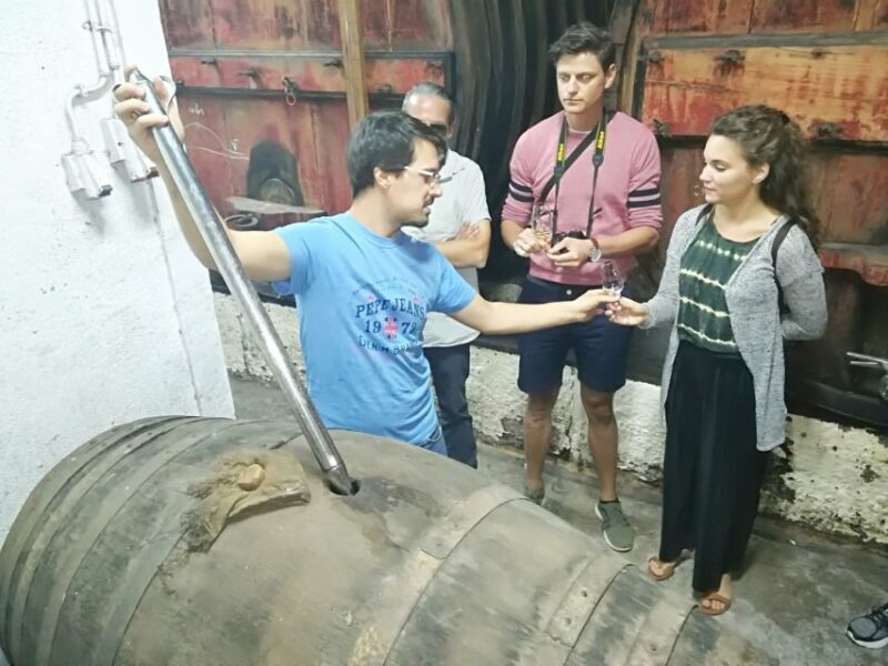From Porto: Douro Valley 3 Vineyards Tour with Lunch - Frequently Asked Questions