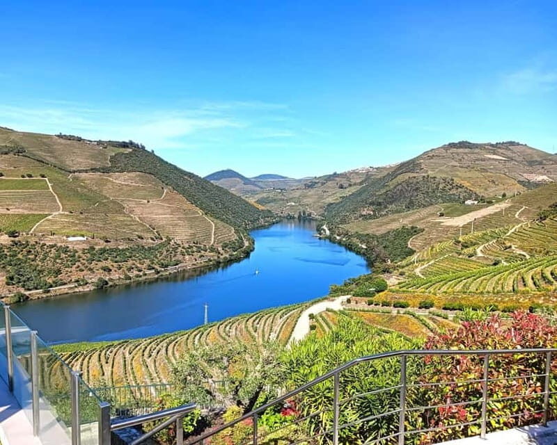 From Porto: Douro Valley Private Tour w/ 3 Wineries & Lunch - An In-Depth Look at the Douro Valley Private Tour