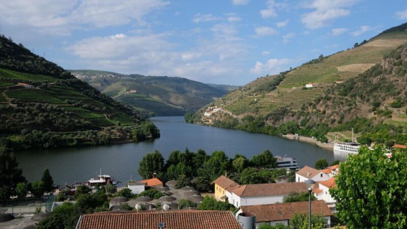 From Porto: Douro Valley Tour with Tastings, Boat & Lunch - A Deep Dive into the Douro Valley Tour