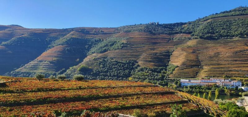 From Porto Douro Valley Tour with Train and Vinho Verde - Suitable For