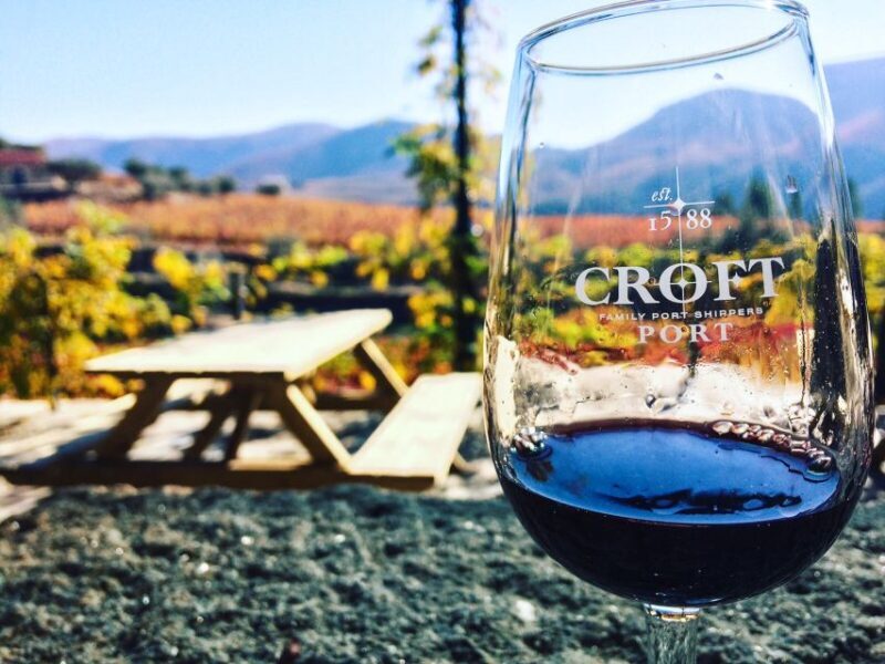 From Porto: Douro Valley w/ Boat Tour, Wine Tasting & Lunch - Practical Tips for Travelers