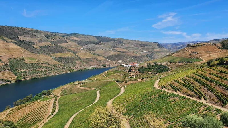 From Porto: Douro Valley Wine Tasting Tour With Hotel Pickup - Key Points