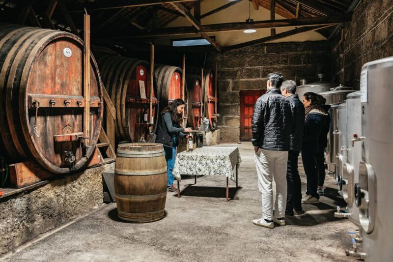 From Porto: Douro Valley Wine Tour with Lunch and Cruise - Key Points