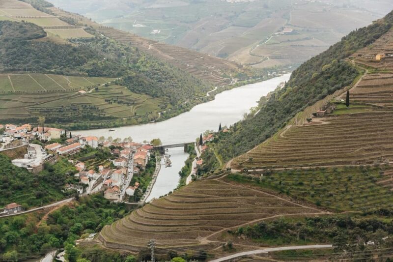 From Porto: Douro Valley Wine Tour with Lunch and Cruise - The Pickup and Early Drive: Setting the Stage