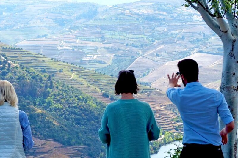From Porto: Douro Valley Wine Tour with River Cruise & Lunch - The Starting Point and Transportation