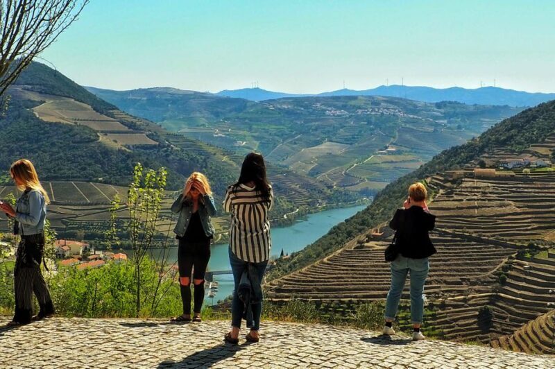 From Porto: Douro Valley Wine Tour with River Cruise & Lunch - Scenic Photo Stops & Breaks
