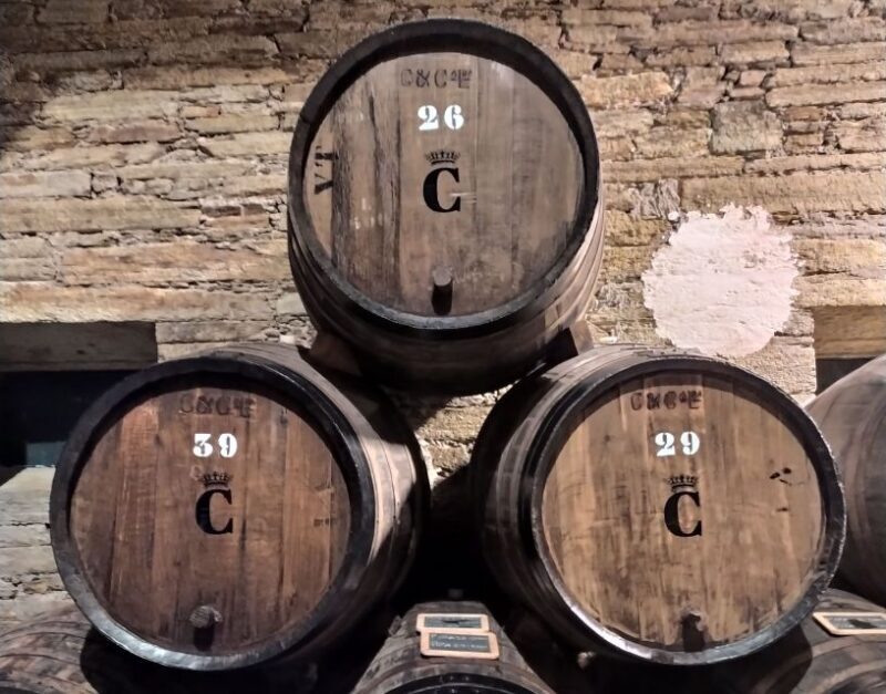 From Porto: Douro Valley Wine Tour with River Cruise & Lunch - Who is This Tour Best For?