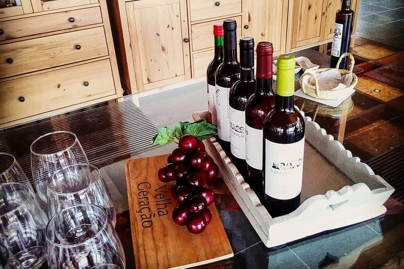 From Porto: Douro Valley with Wineries, Lunch and Boat Trip - Practical Tips for Booking and Enjoying the Tour