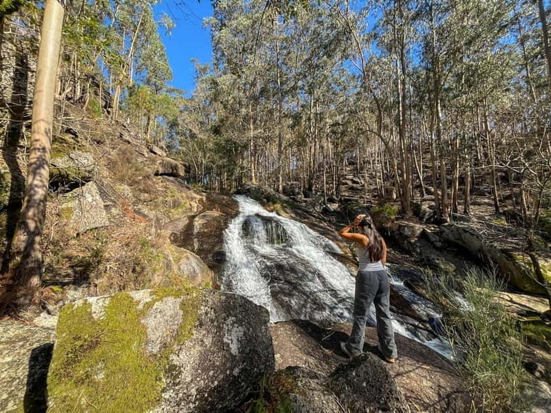 From Porto: Forest Waterfalls & Roman Ruins Trail Tour - Exploring Porto’s Hidden Corners