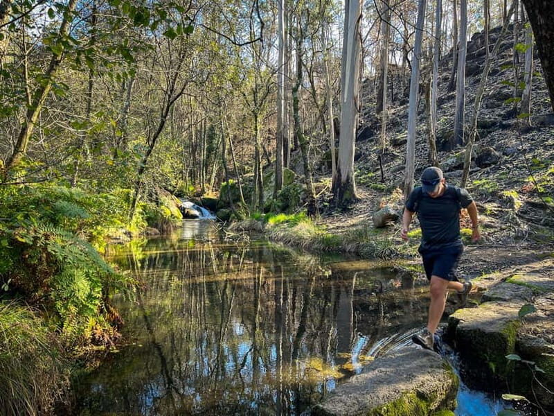 From Porto: Forest Waterfalls & Roman Ruins Trail Tour - What to Expect on the Tour