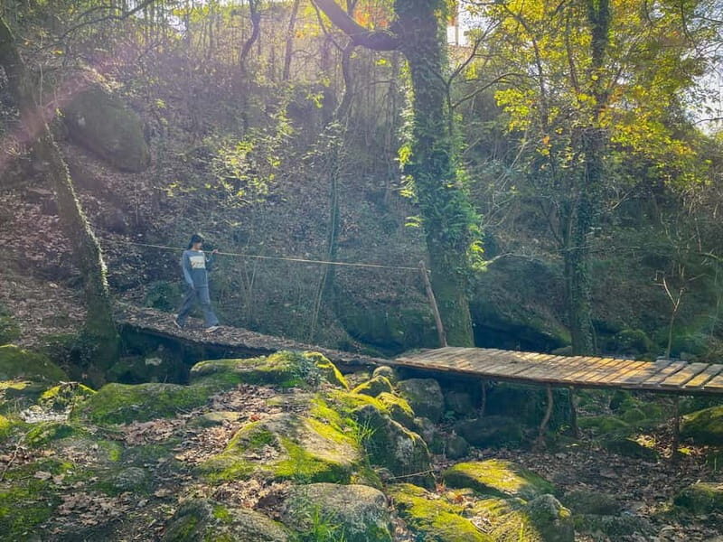 From Porto: Forest Waterfalls & Roman Ruins Trail Tour - Authenticity and Value