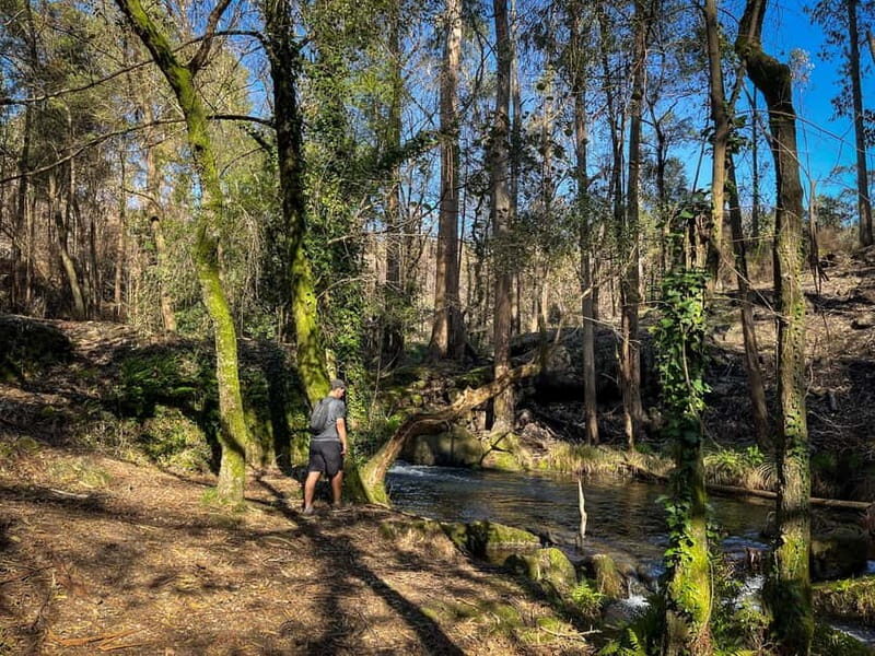 From Porto: Forest Waterfalls & Roman Ruins Trail Tour - Who Should Consider This Tour?