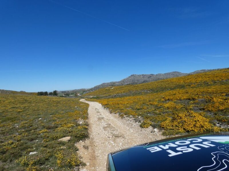 From Porto: Freita Mountain [Arouca Geopark]- Jeep Tour - Who Should Consider This Tour?