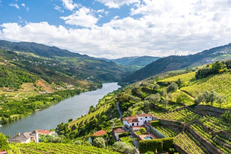 From Porto: Full-Day Douro Historical Tour - An In-Depth Look at the Tour Experience
