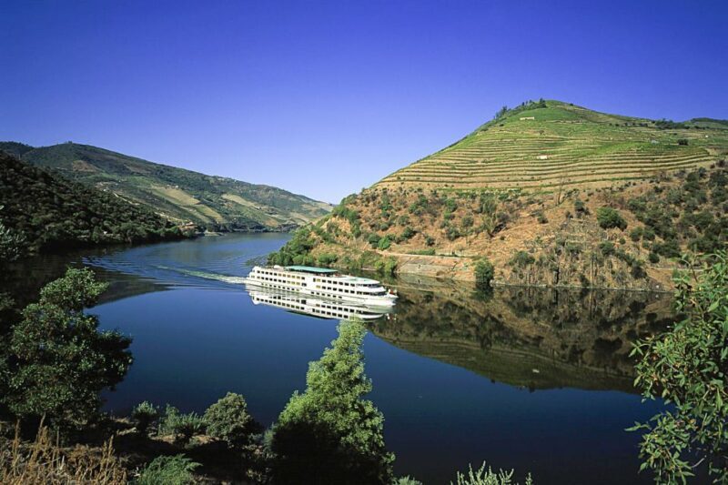 From Porto: Full-Day Douro Historical Tour - Practical Tips for Future Travelers