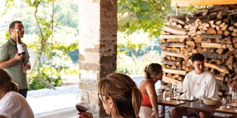 From Porto: Full-Day Douro Valley Trip - The Value and Overall Experience