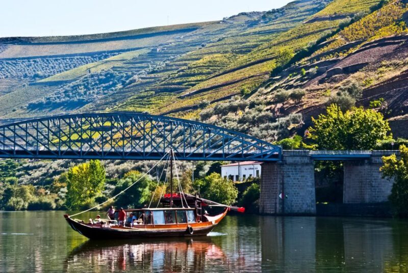 From Porto: Full-Day Douro Valley Trip - The Sum Up: Is This Trip for You?