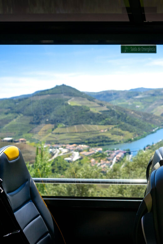 From Porto: Full-Day Douro Valley & Wine Tour with Lunch - Transport and Group Dynamics