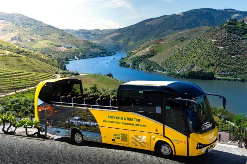 From Porto: Full-Day Douro Valley & Wine Tour with Lunch - Experiences from Travelers