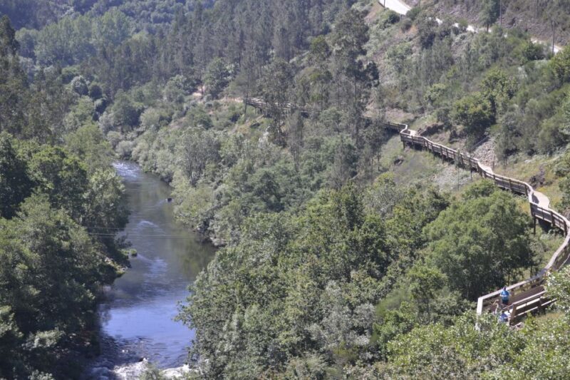From Porto: Full-Day Paiva Walkways Tour with DOP Beef lunch - Deep Dive: The Itinerary and Its Appeal