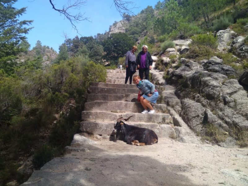 From Porto: Guided tour to Gerês Park - Key Points
