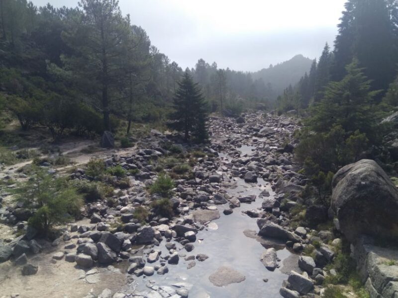 From Porto: Guided tour to Gerês Park - The Sum Up