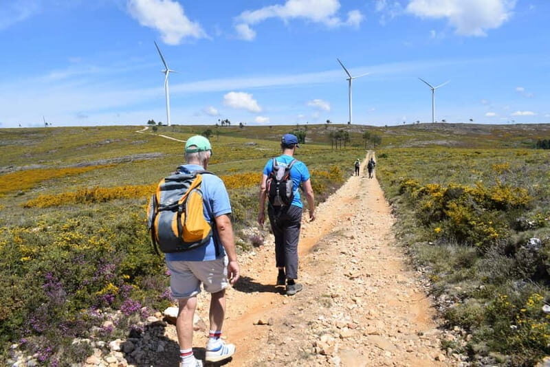 From Porto: Jeep Tour Serra Freita - Unesco Arouca Geopark - Who Is This Tour Best For?