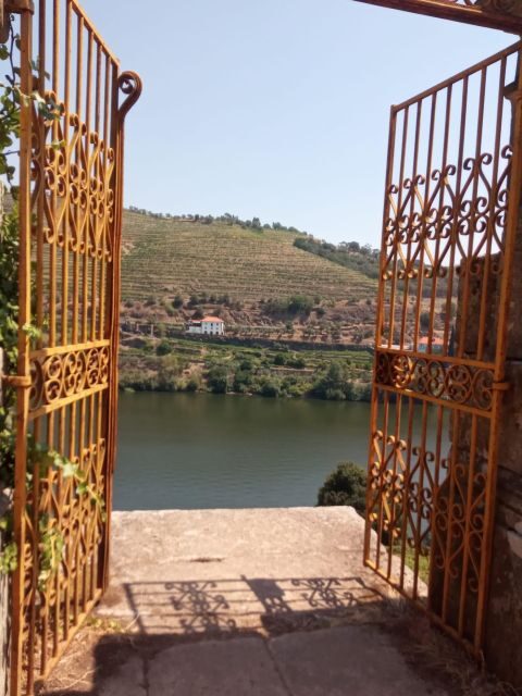 From Porto: luxury tour with full lunch at Quinta da Pacheca - Guided Visit and Tasting at Quinta da Pacheca