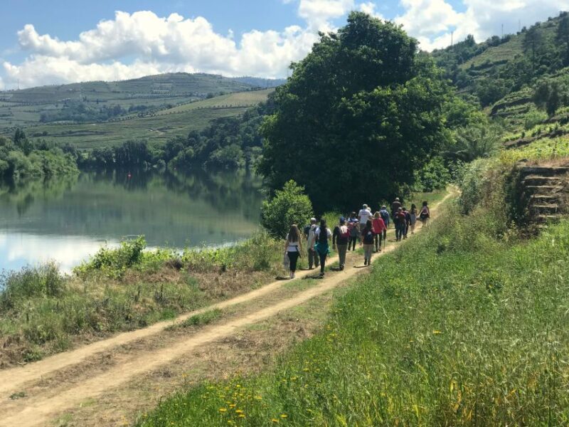 From Porto: luxury tour with full lunch at Quinta da Pacheca - Timing and Flexibility