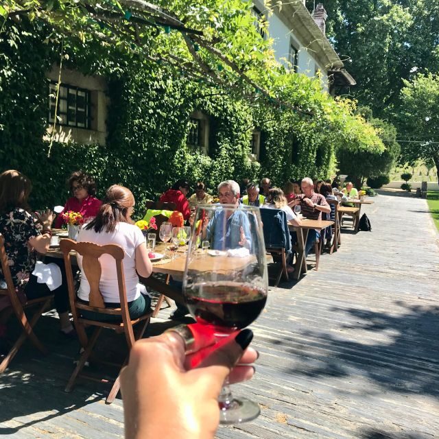 From Porto: luxury tour with full lunch at Quinta da Pacheca - The Sum Up