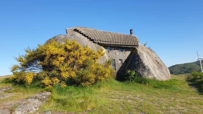 From Porto: Nature and Wine tasting Full-Day Tour - What’s Included and What to Expect
