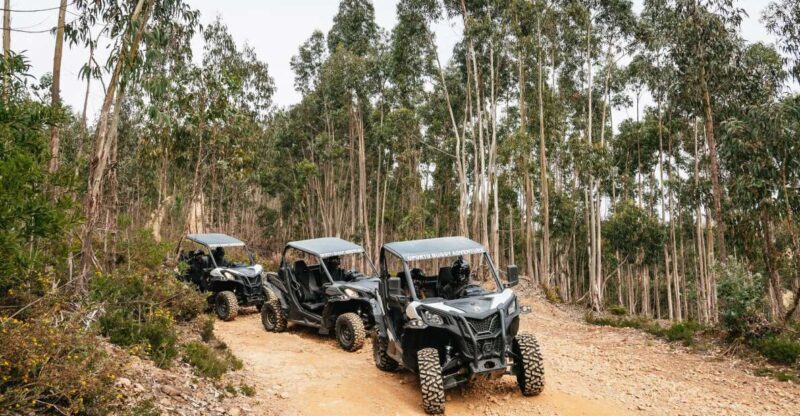 From Porto: Off-Road Buggy Adventure - Introducing the Porto Off-Road Buggy Adventure