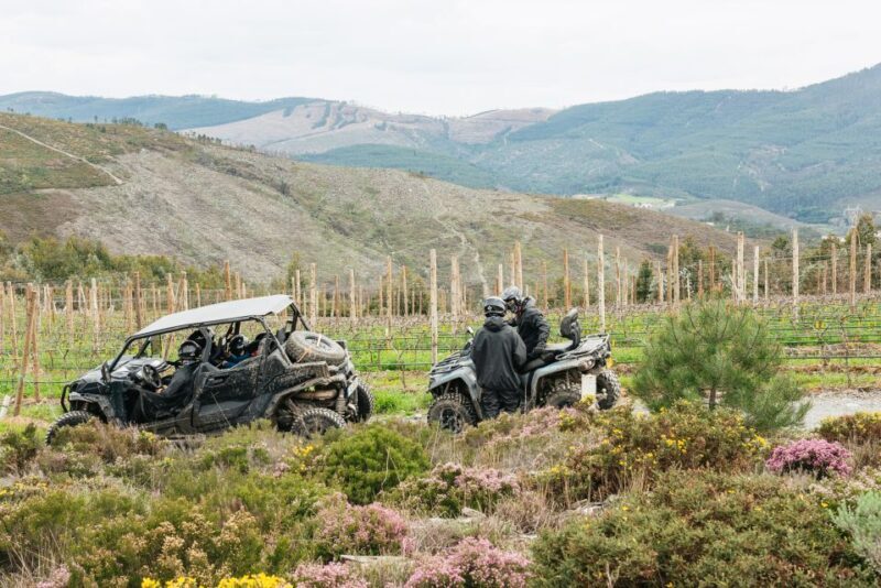 From Porto: Off-Road Buggy Adventure - What Past Travelers Say