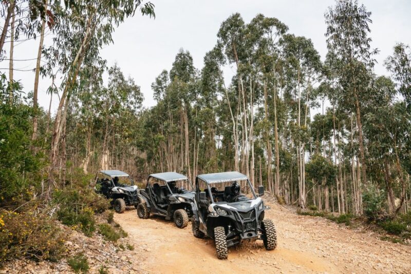 From Porto: Off-Road Buggy Adventure - The Sum Up