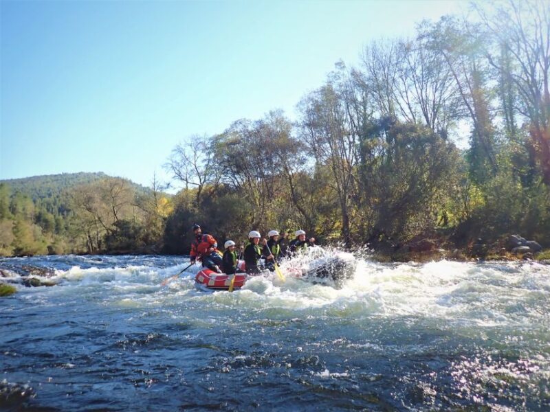 From Porto: Paiva River Rafting Discovery - Adventure Tour - Final Thoughts