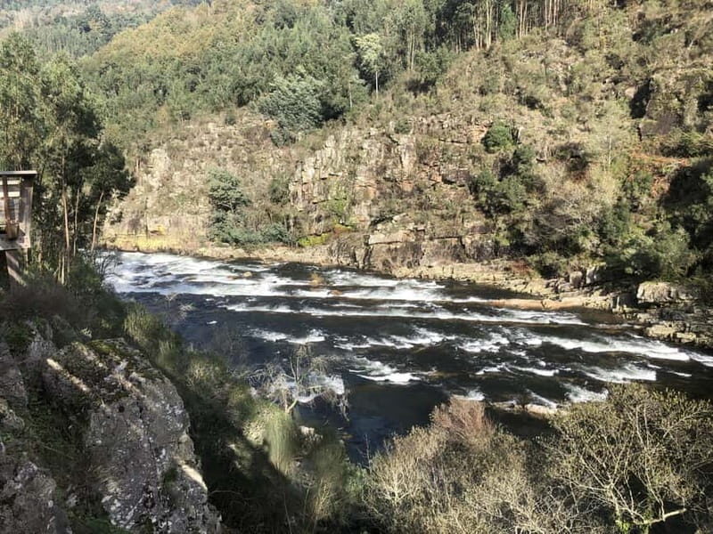 From Porto - Paiva Walkways and Suspension Bridge - Who Should Consider This Tour?