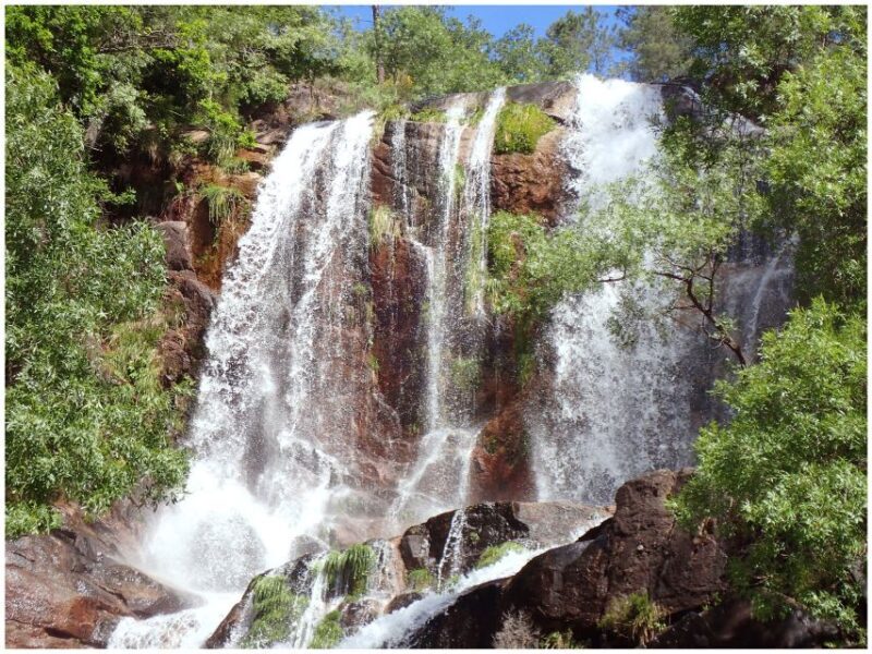 From Porto: Peneda-Gerês National Park Tour with Lunch - FAQs