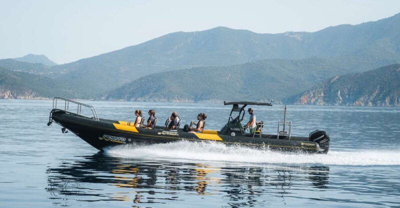 From Porto: Piana Creeks and Scandola Semi-Rigid Boat Tour - Overview of the Piana Creeks and Scandola Tour