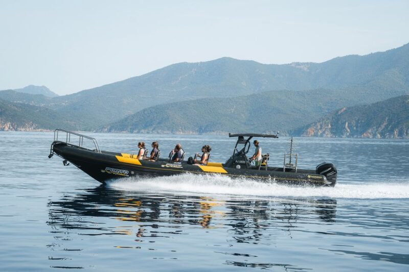 From Porto: Piana Creeks and Scandola Semi-Rigid Boat Tour - Authentic Experiences: What Travelers Say